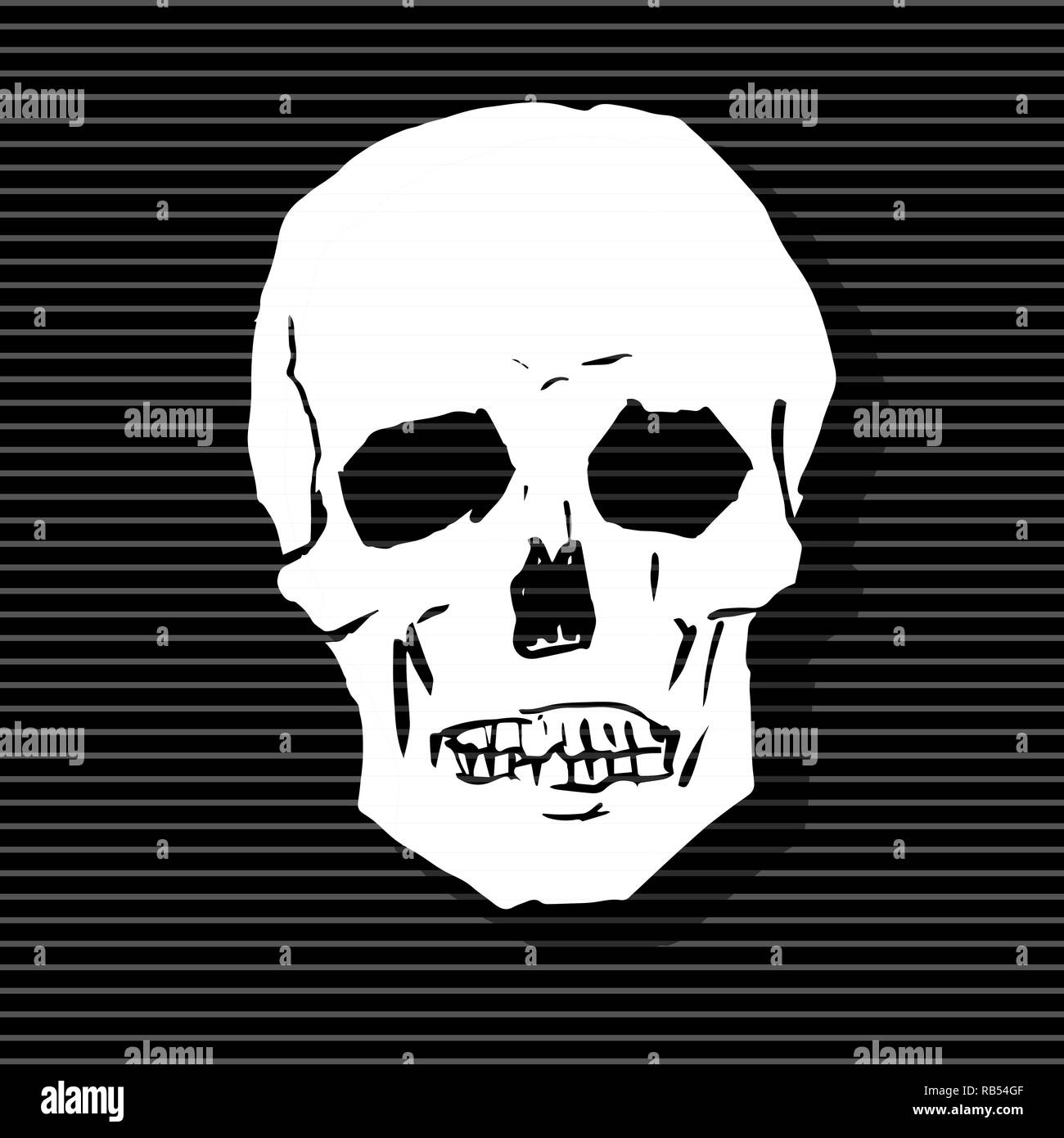 Vector image of a stylized human skull. The sketch is drawn in ink ...