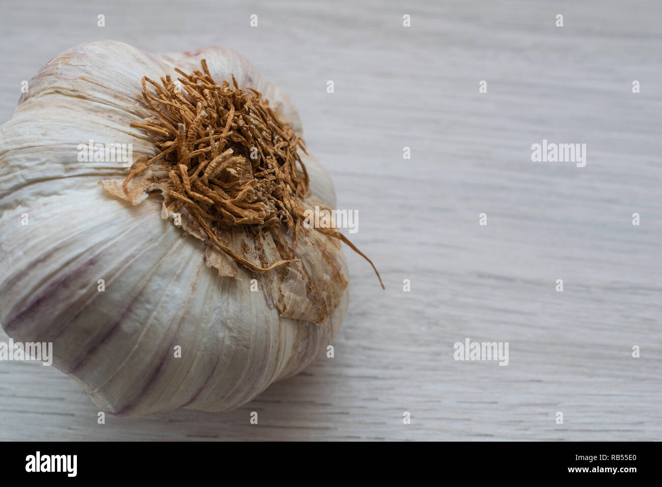 Garlic bulb close-up. Side view of a garlic head Stock Photo - Alamy