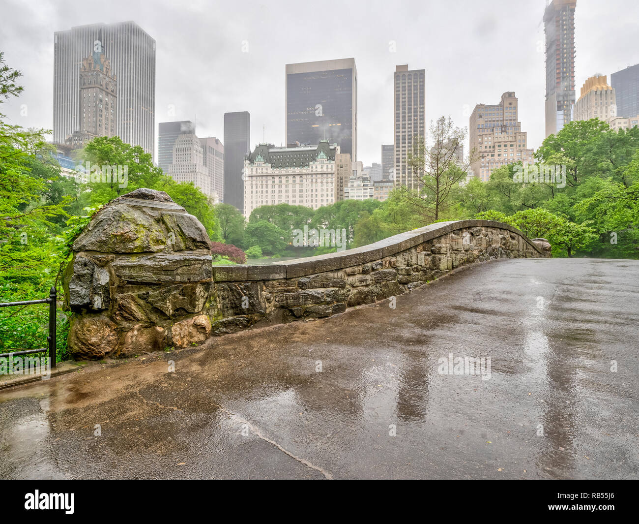 Central Park, Manhattan, New York City in spring on rainy day Stock ...