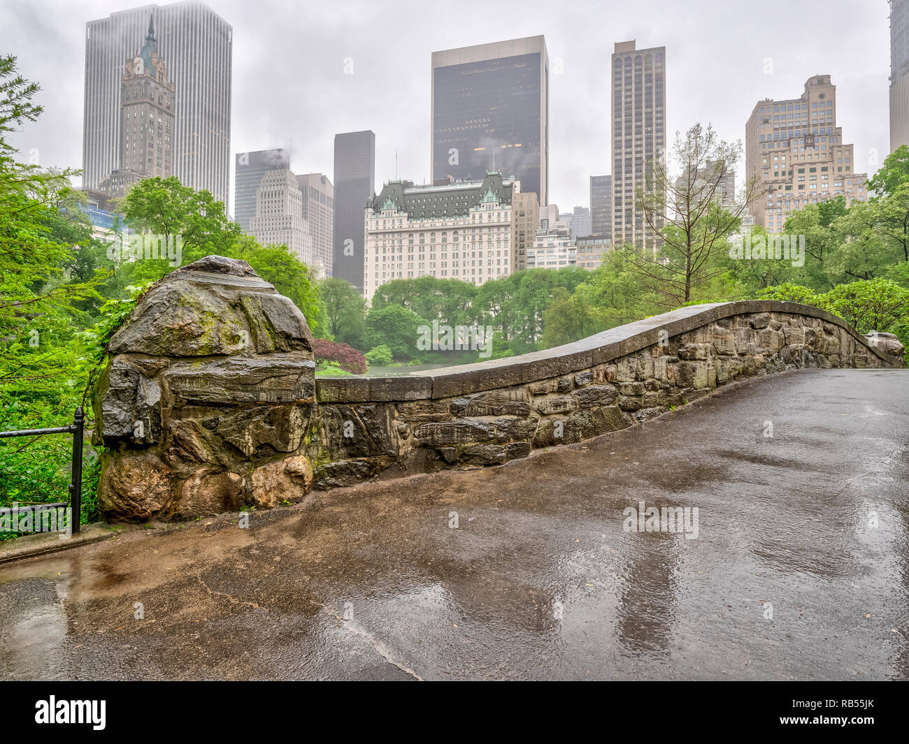 Central Park, Manhattan, New York City in spring on rainy day Stock ...