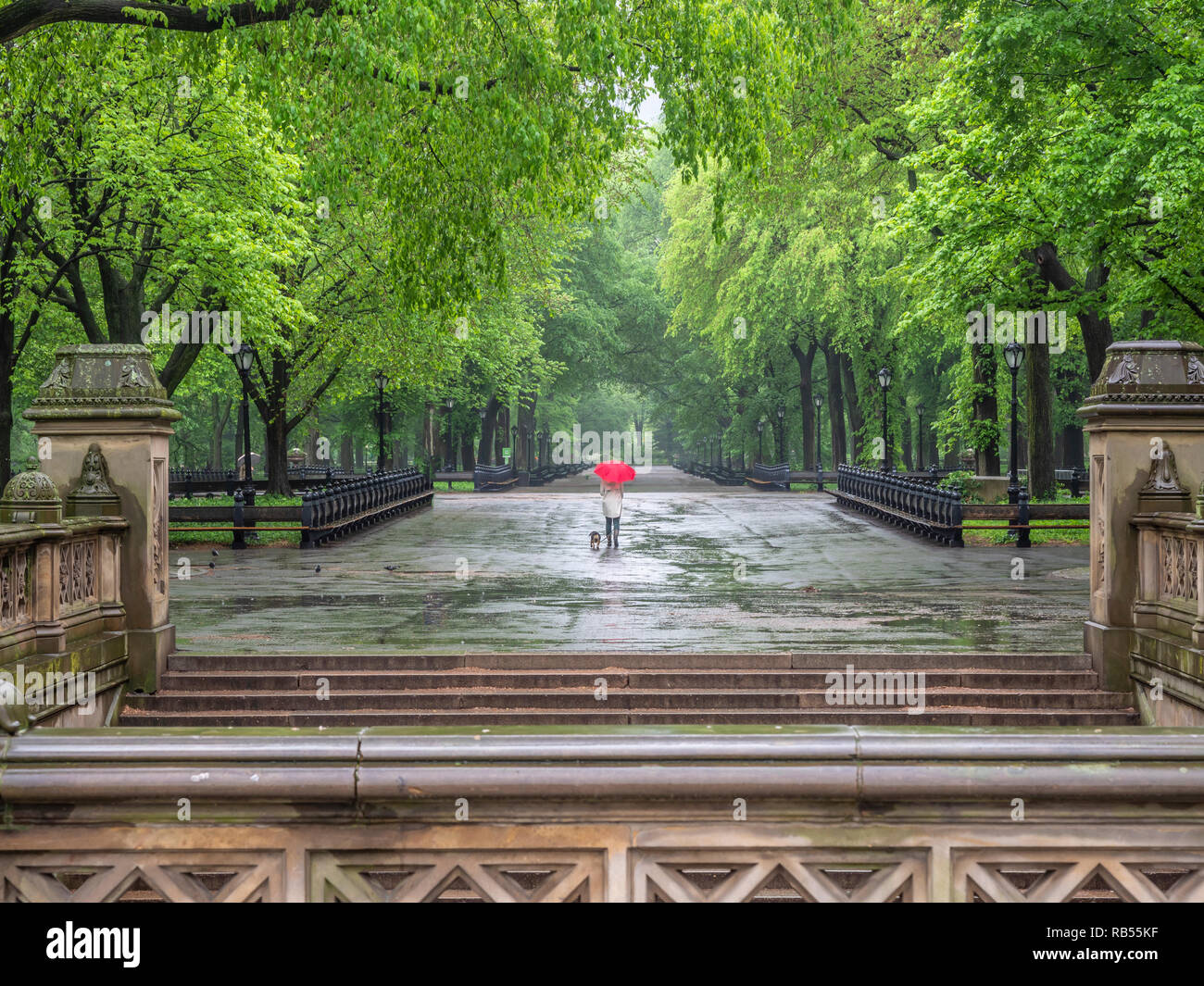 Central Park, Manhattan, New York City in spring Stock Photo - Alamy