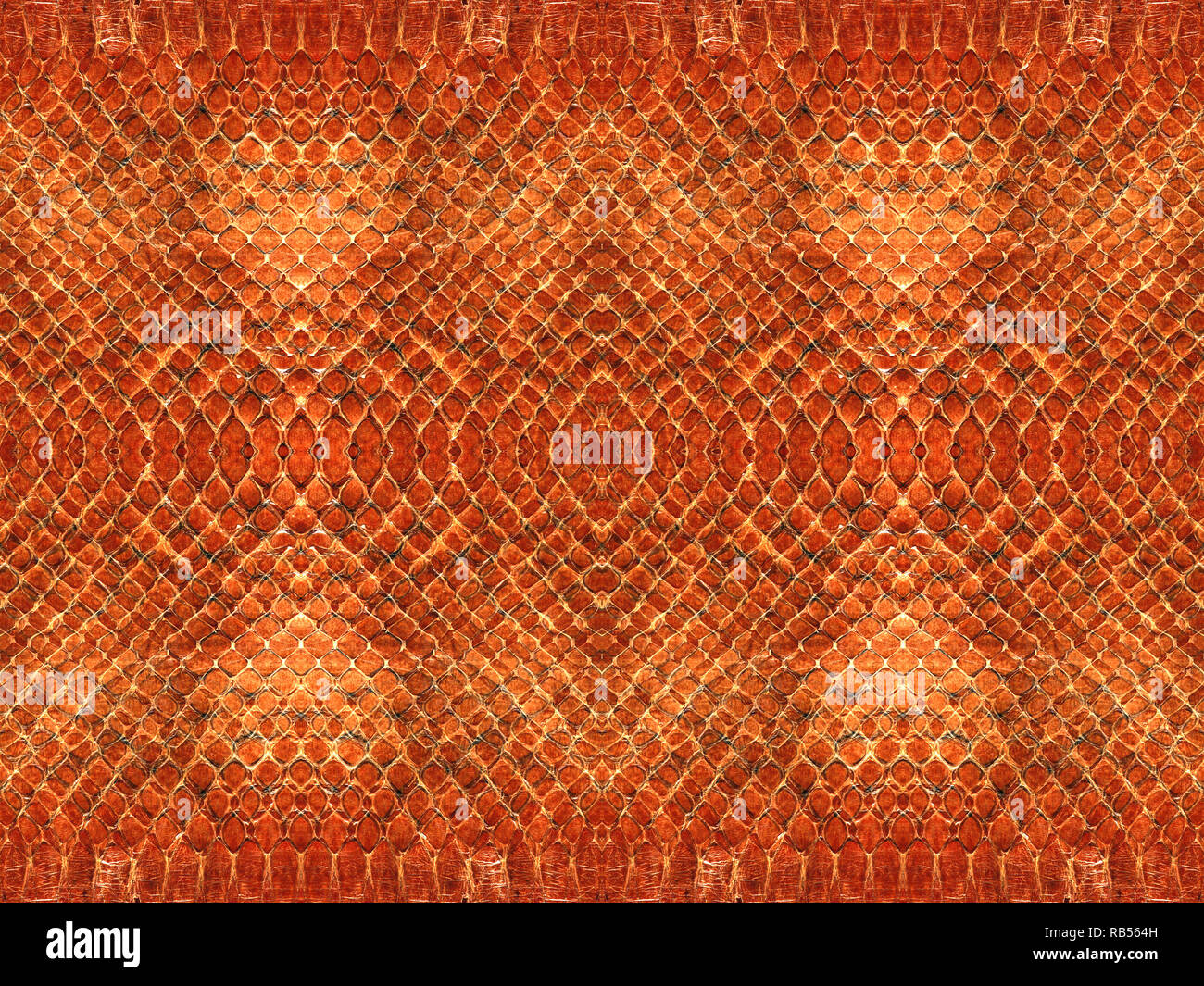 Snakeskin background hi-res stock photography and images - Alamy