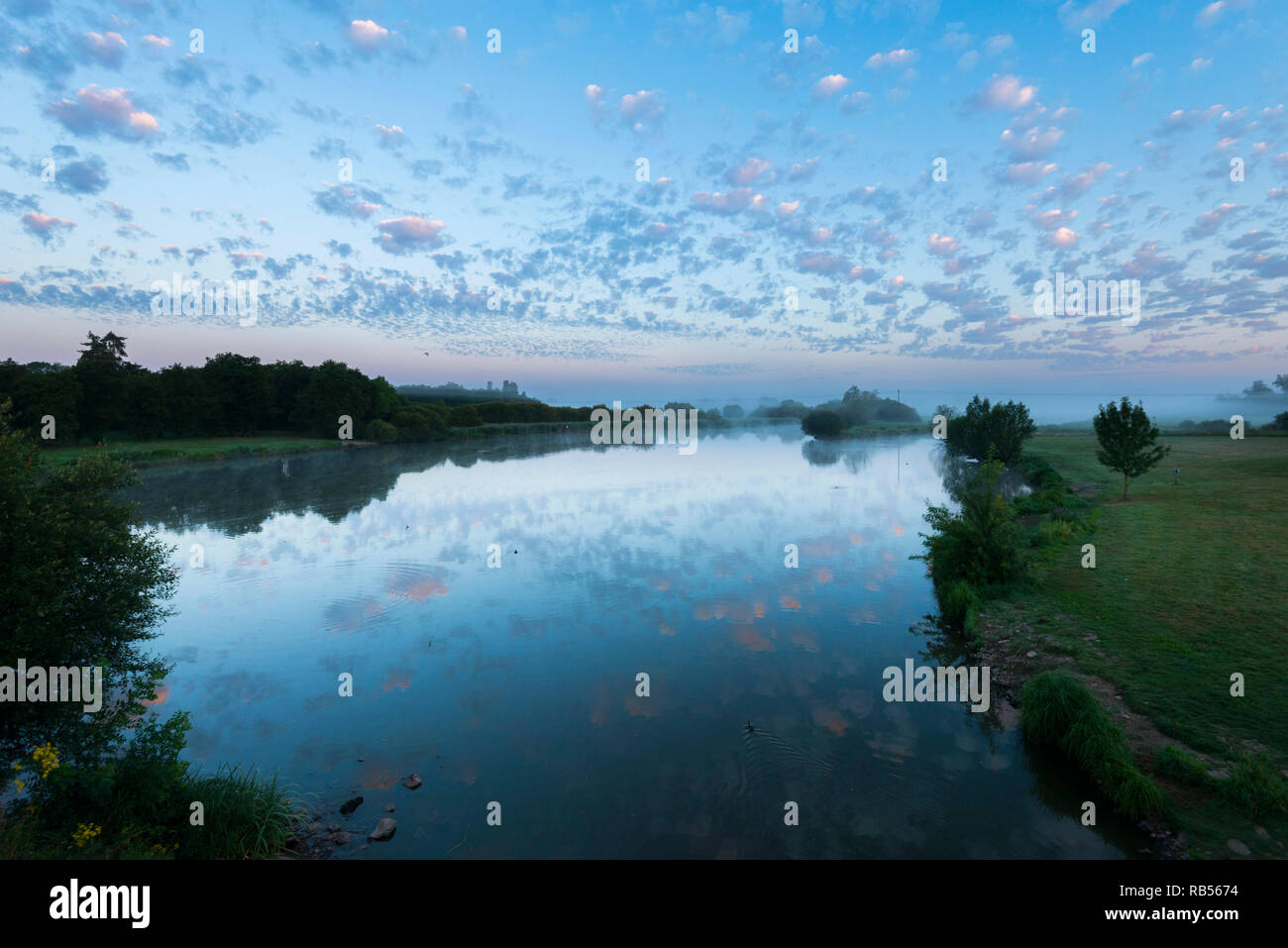 Mist marsh hi-res stock photography and images - Alamy
