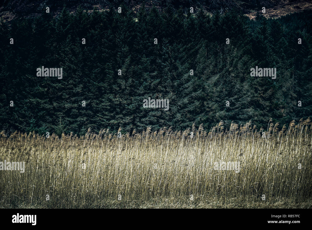 Neist Point Isle Of Skye Scotland Landscapephotography
