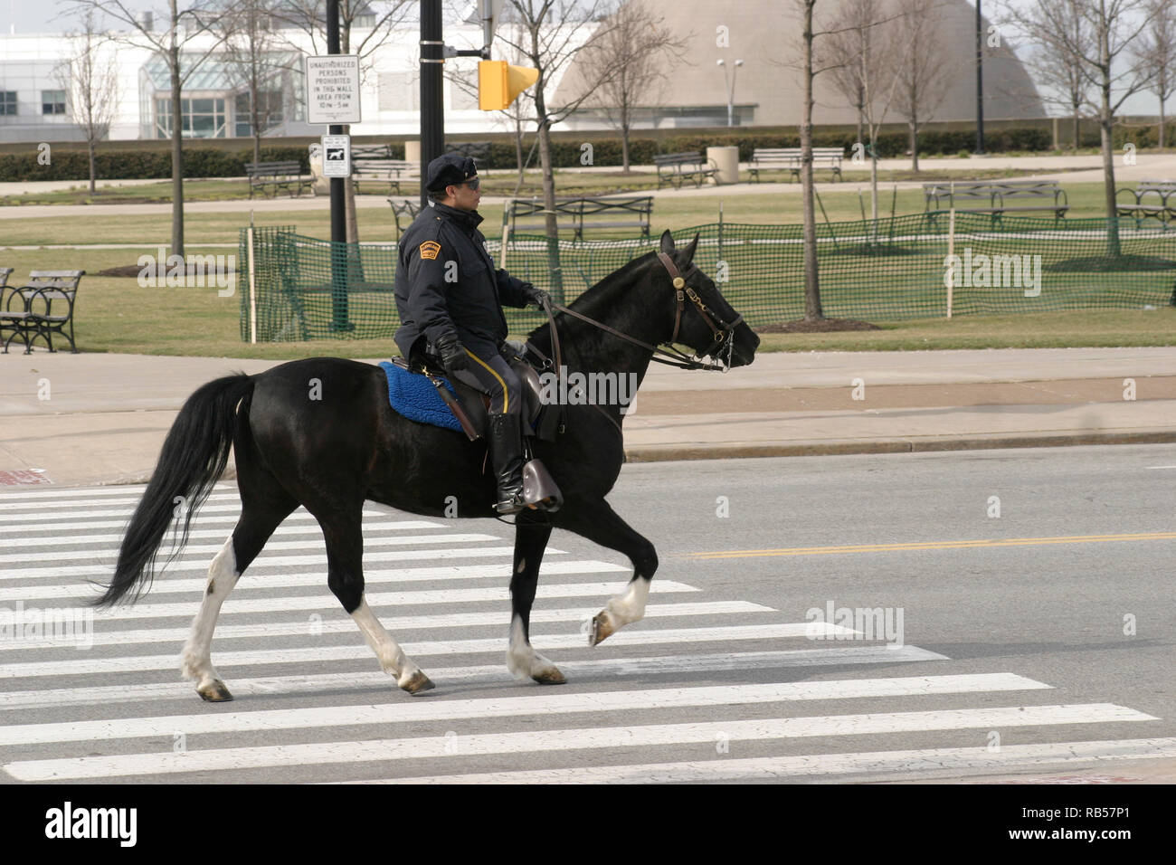Mounted Police patrolling on street in Cleveland, Ohio, USA Stock Photo ...