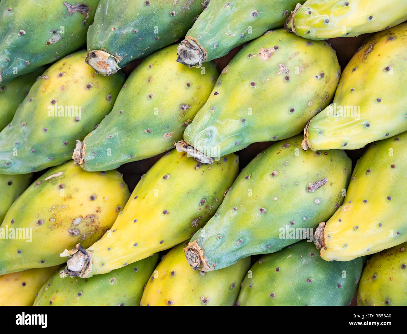 Beautiful background of prickly pears at the fruit and vegetable market ...