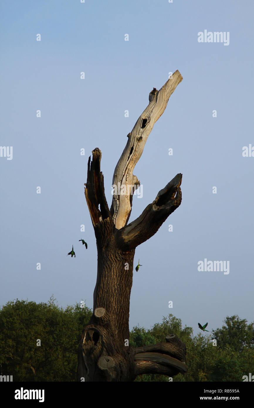 Moody book cover hi-res stock photography and images - Alamy