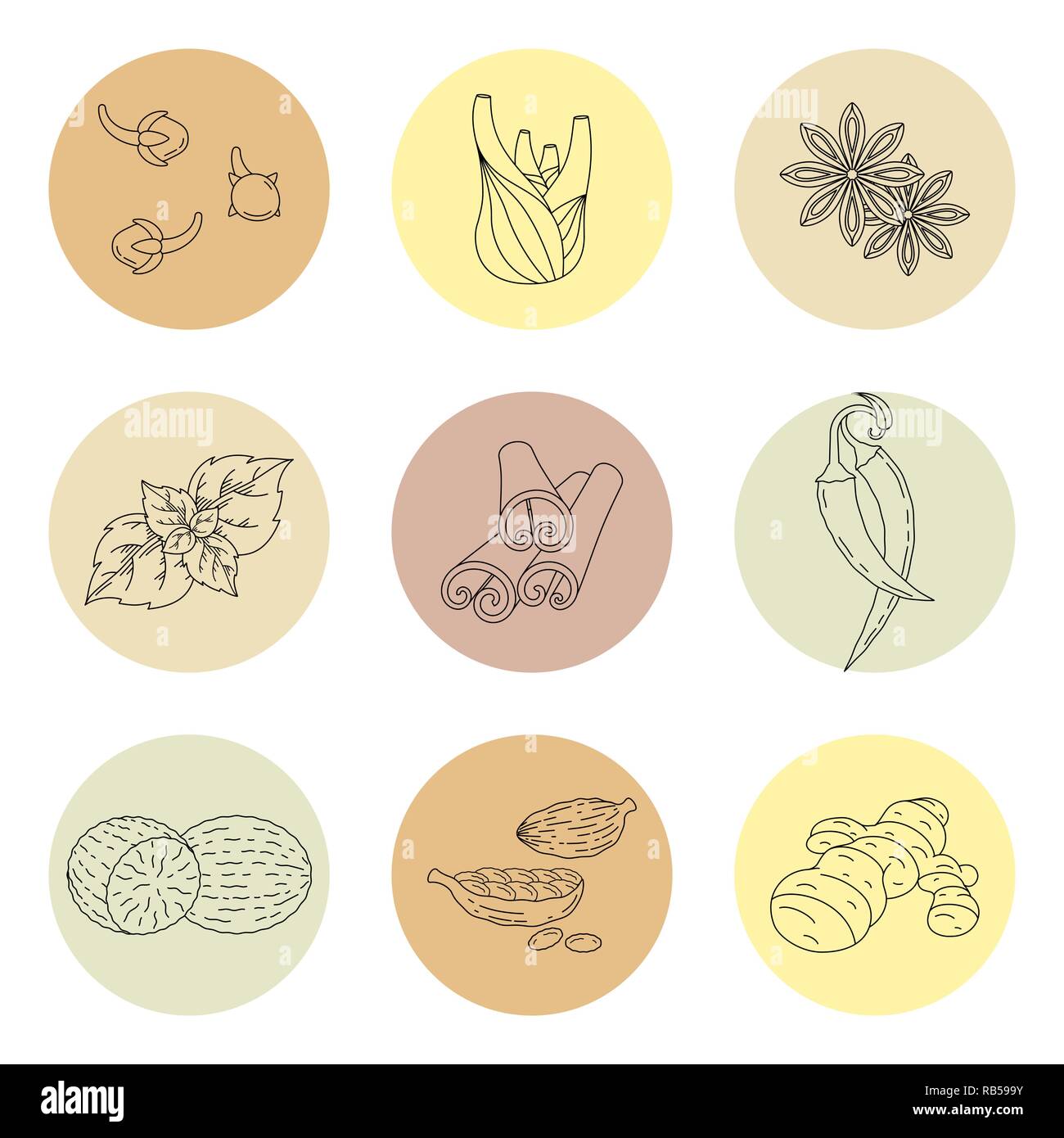 Spices aromatic indian spices Stock Vector Images - Alamy