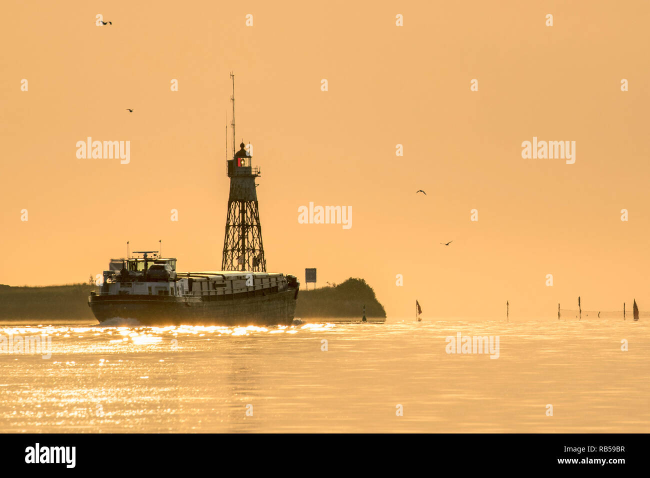 The Netherlands, Amsterdam. Nature reserve Vuurtoreneiland. Defence ...