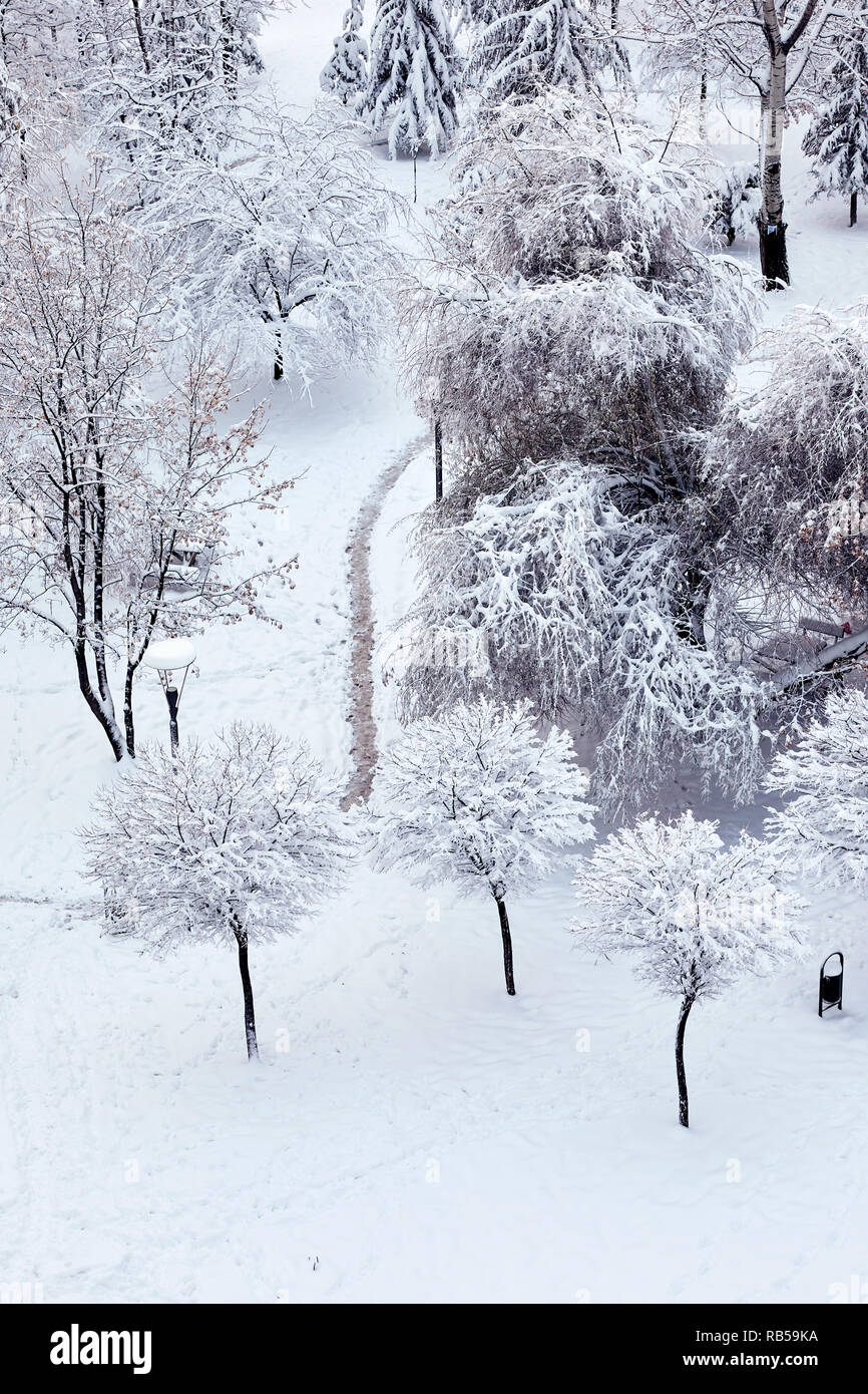 Beautiful winter trees hi-res stock photography and images - Alamy