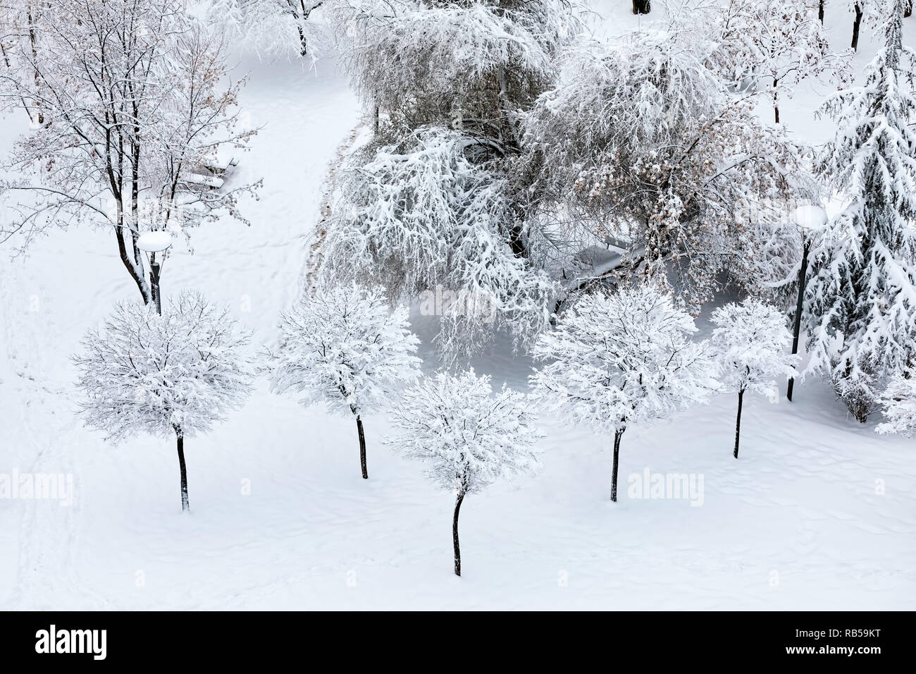 Beautiful winter trees hi-res stock photography and images - Alamy