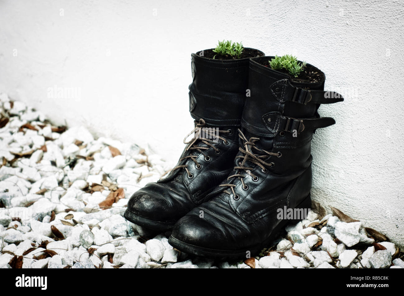 Unusual Planters High Resolution Stock Photography and Images - Alamy