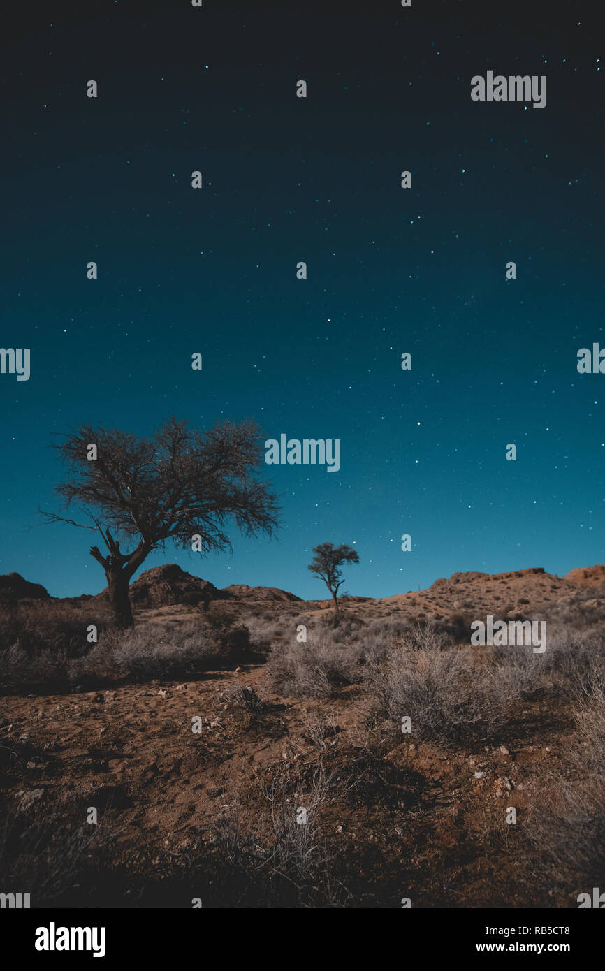 Night Sky in Namibia Stock Photo - Alamy