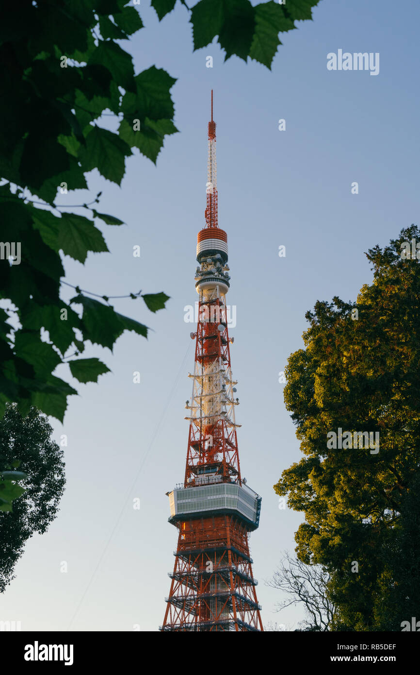 Japan blue tokyo tower hi-res stock photography and images - Alamy