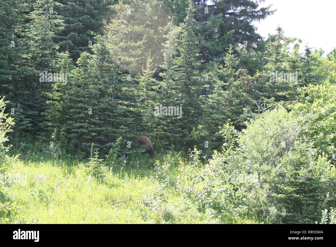 Apgar mt hi-res stock photography and images - Alamy