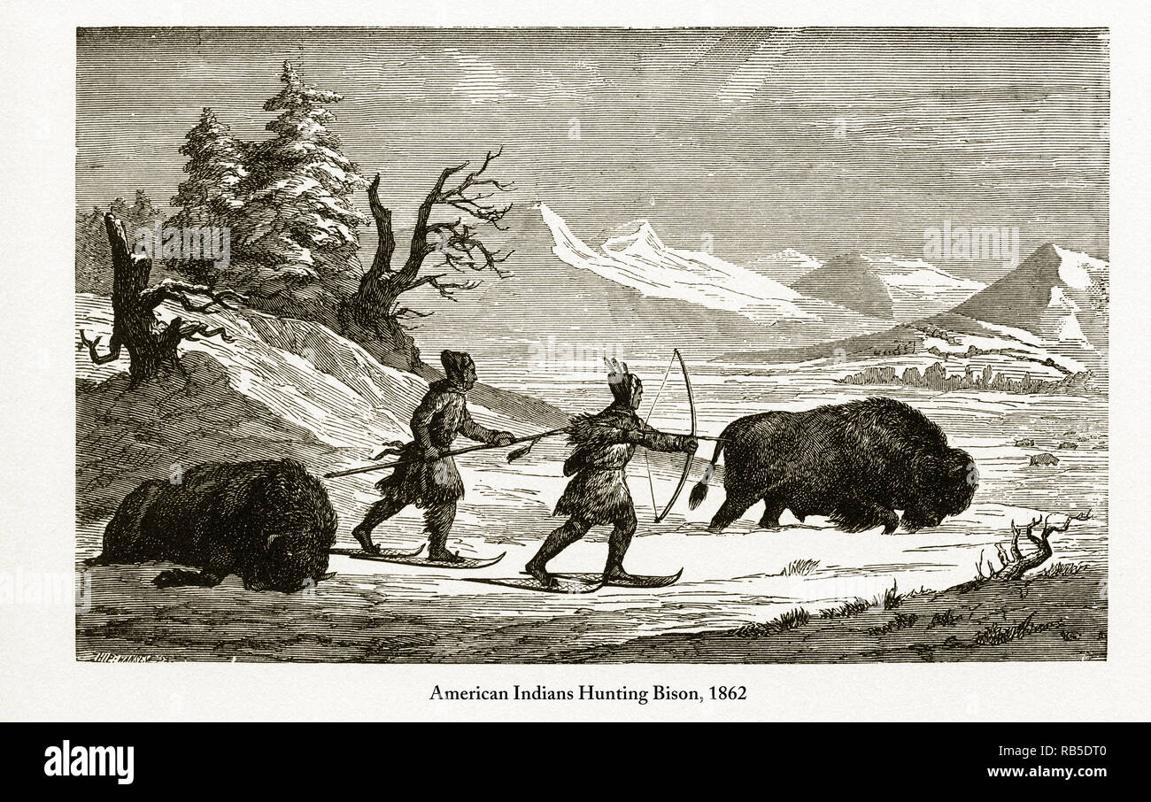 Hunting Bison, American Indians Engraving, 1862 Stock Photo - Alamy