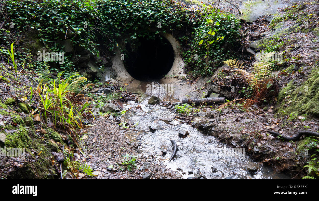 Water Running Into Culvert Stock Photo - Alamy