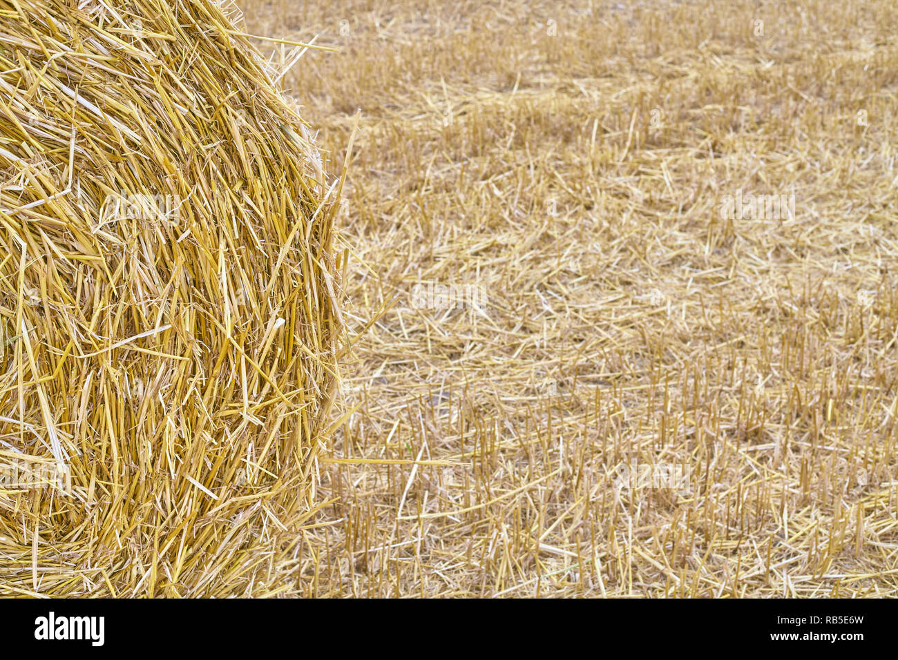 Straw background hi-res stock photography and images - Alamy