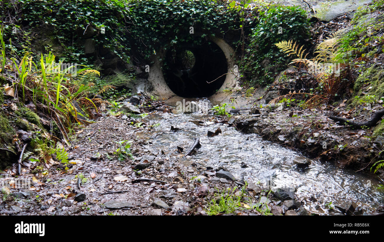 Creek Running Into Culvert Stock Photo - Alamy