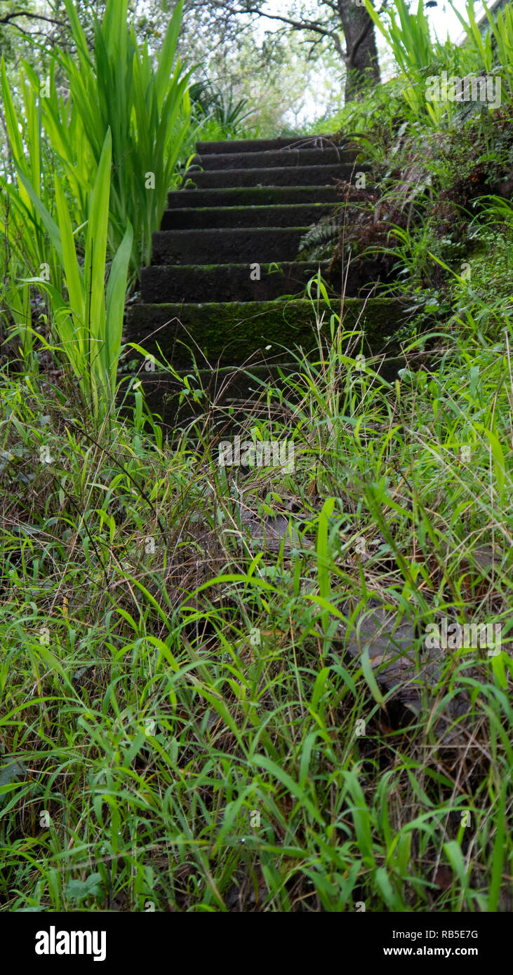 Steps going up hill stairs hi-res stock photography and images - Alamy