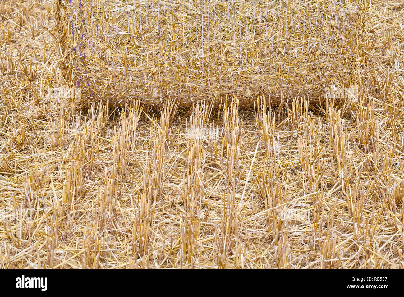 Straw round bale hi-res stock photography and images - Alamy