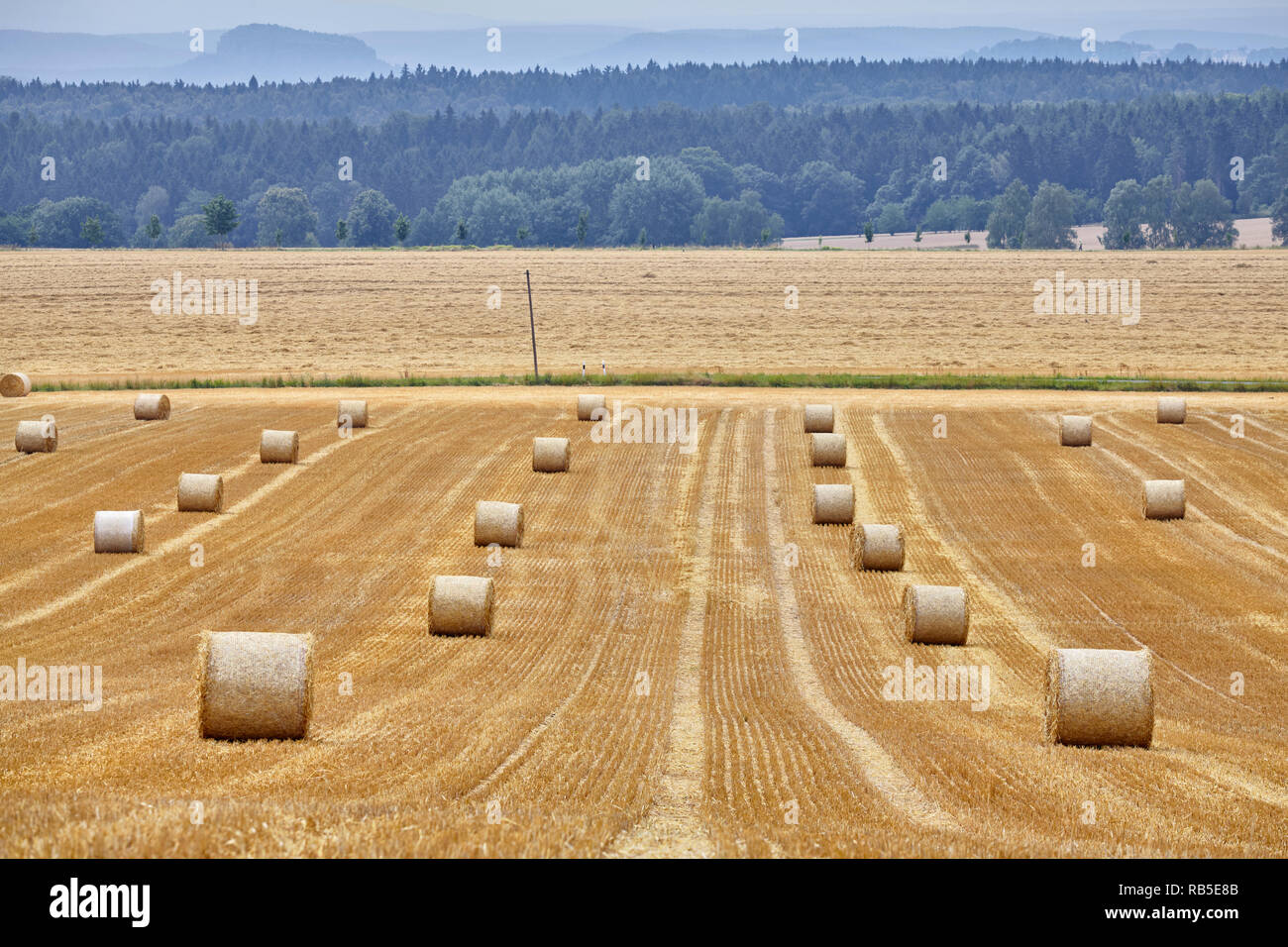 End of harvest season hi-res stock photography and images - Alamy