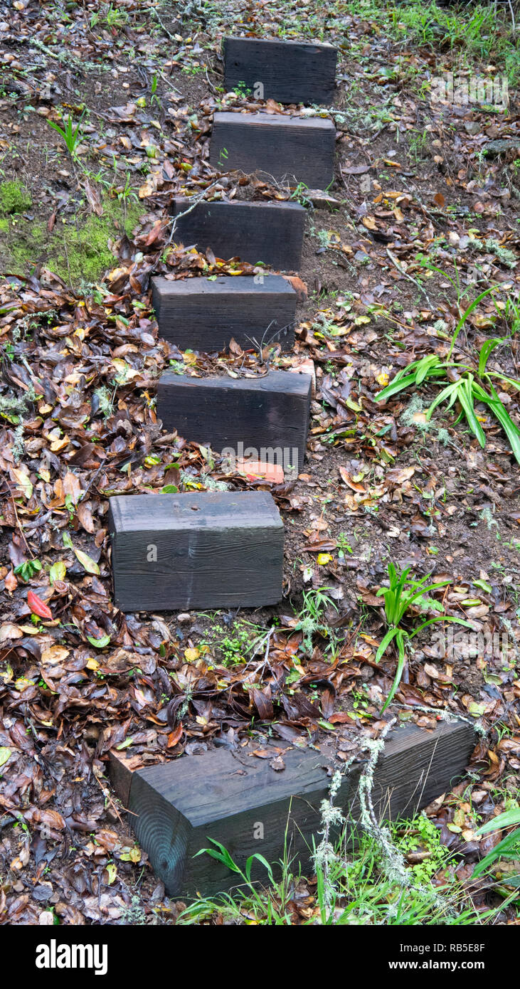 Wooden Steps Uphill Stock Photo - Alamy