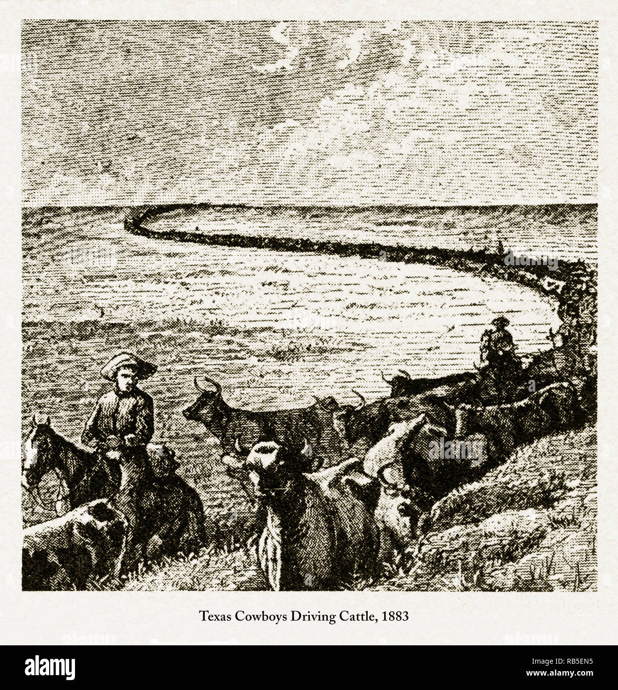 Cattle drive 19th century hi-res stock photography and images - Alamy