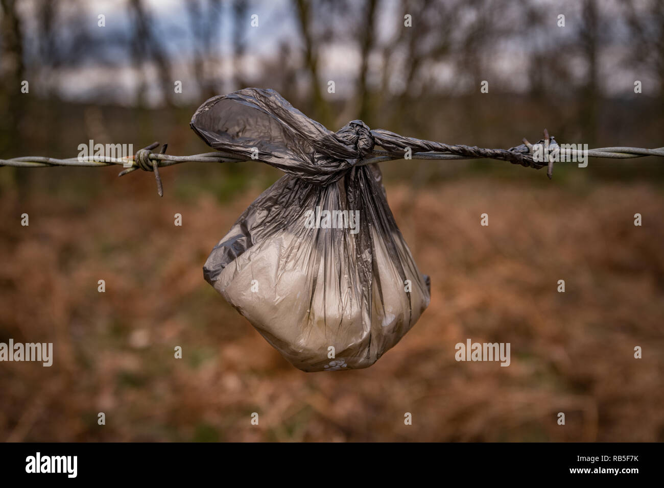 Bag dog excrement left hanging hi-res stock photography and images - Alamy