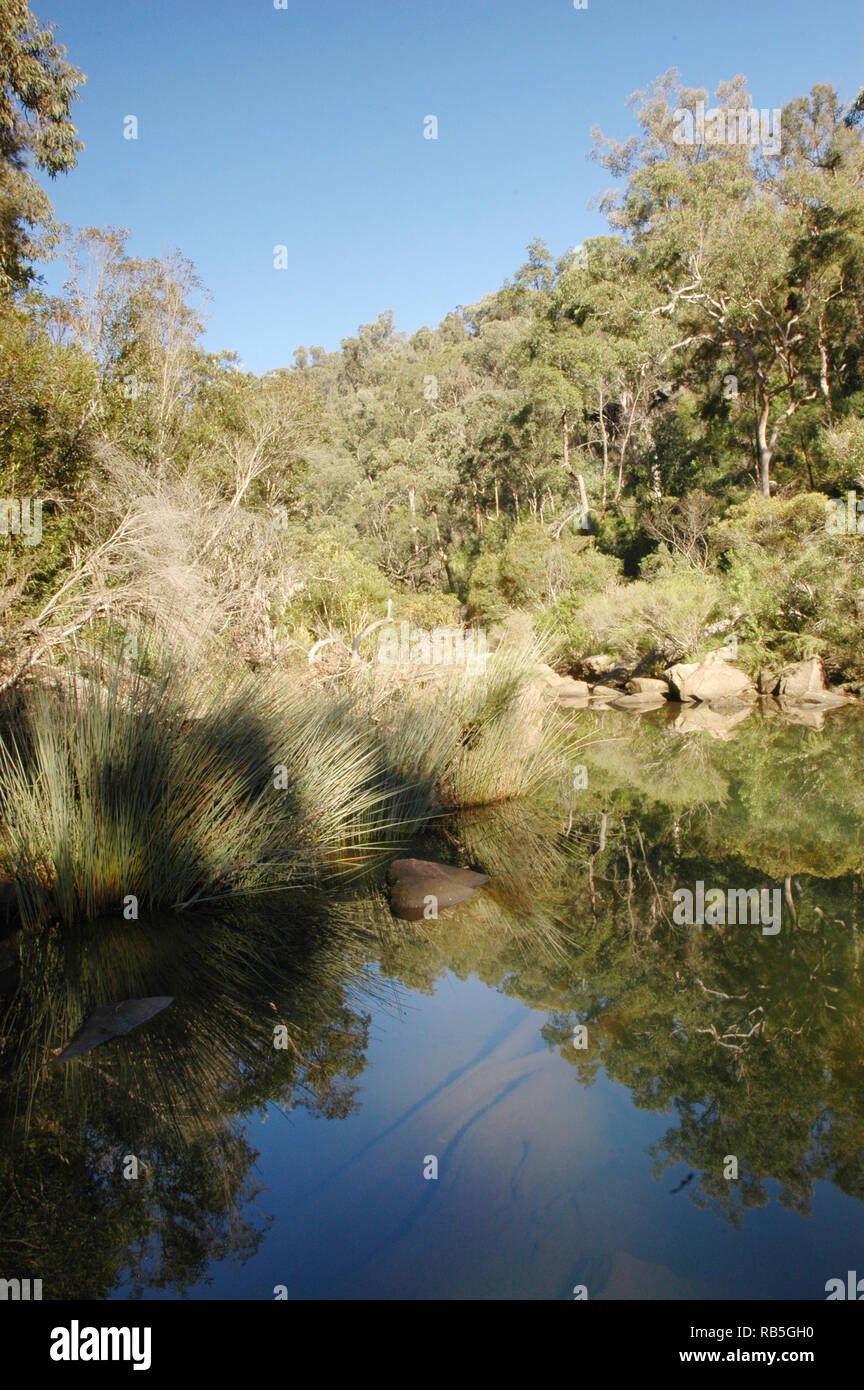 Blue Pool in the Glenbrook area of Blue Mountains National Park Stock ...
