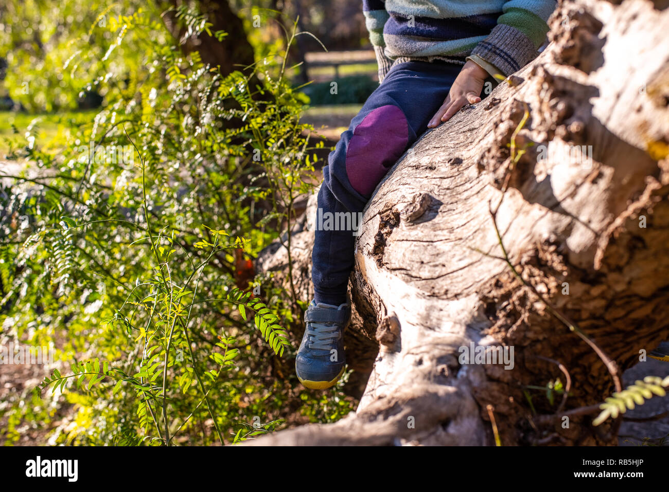 Female Sitting On Fallen Tree Trunk High Resolution Stock Photography ...