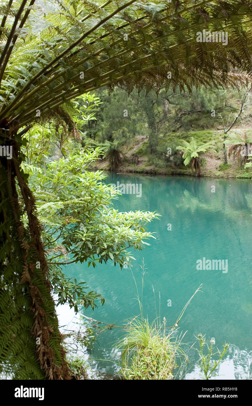 Jenolan river walking track hi-res stock photography and images - Alamy