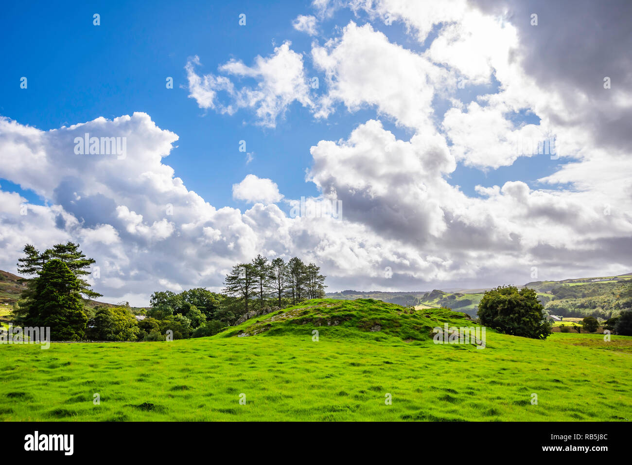 Beautiful scenery of rural England.Trees growing near hill on field ...