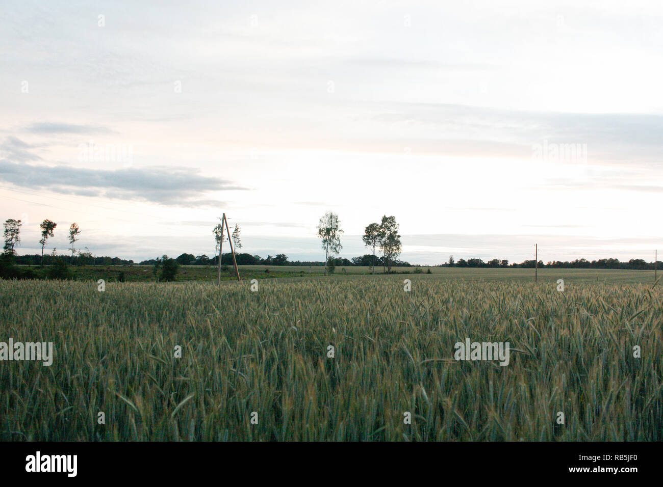 Farmside view hi-res stock photography and images - Alamy