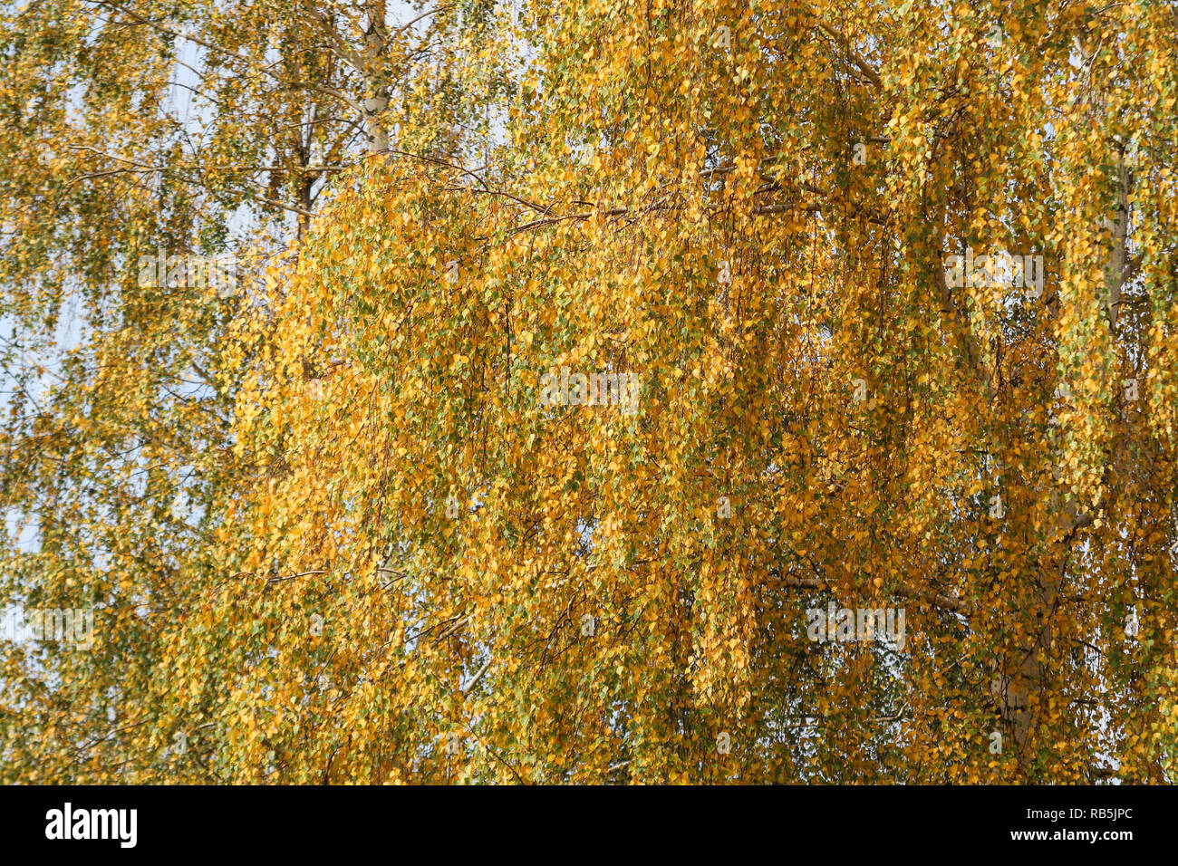 Natural view hi-res stock photography and images - Alamy