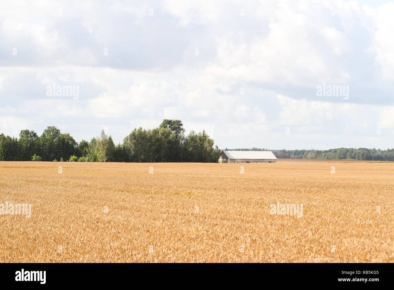 Farmside hi-res stock photography and images - Alamy