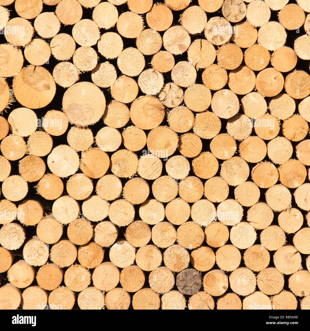 Stacked firewood on a countryside, village house. Beautiful style ...