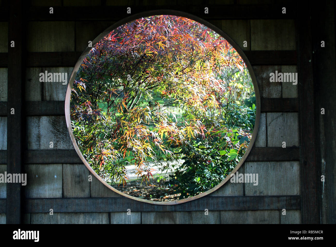 Autumnal trees in round window Stock Photo - Alamy