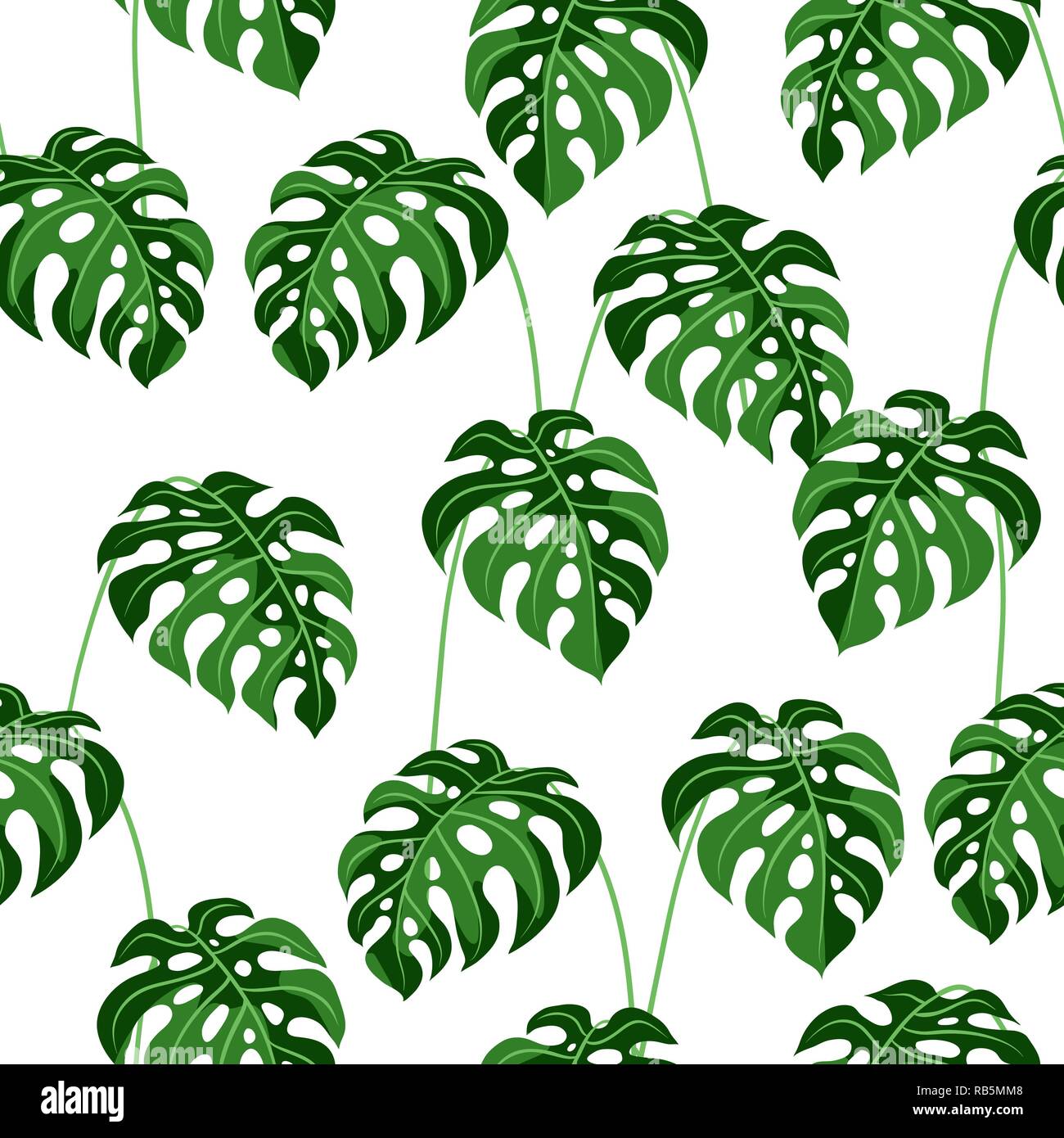 Monstera leaves pattern hi-res stock photography and images - Alamy