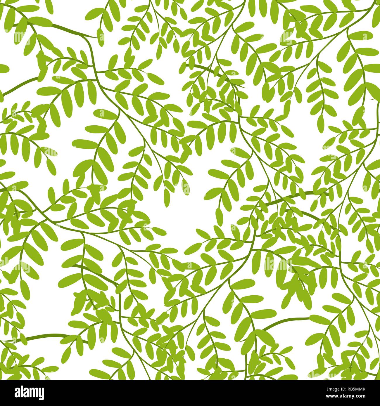 Acacia tree Stock Vector Images - Alamy