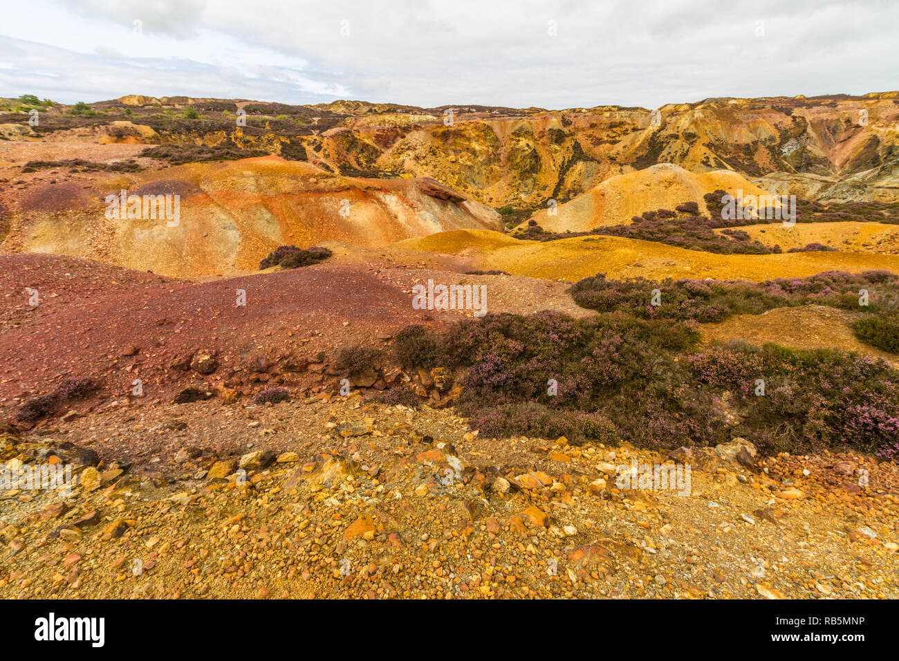 Different coloured rocks in ex copper mine area. Parys Mountain, Amlwch ...