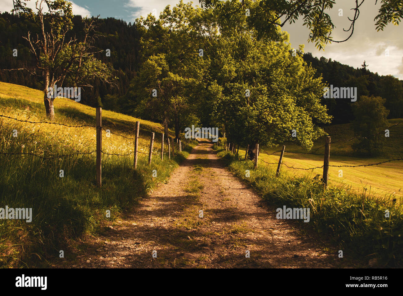 Landscape in Germany Stock Photo - Alamy