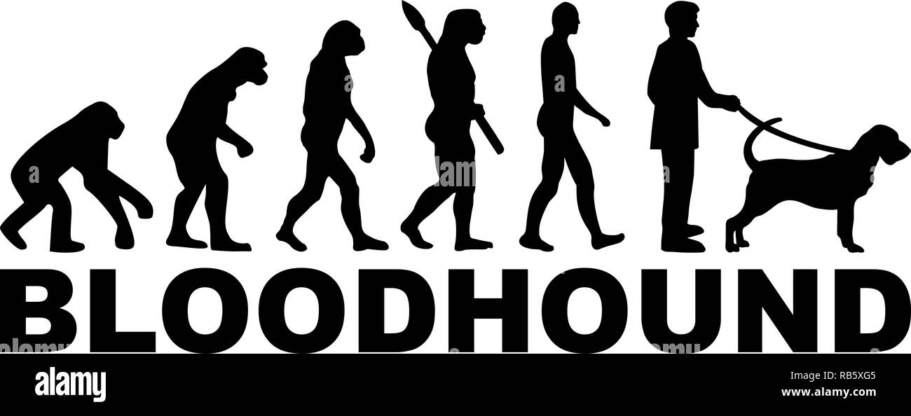 Bloodhound evolution with word in black Stock Photo - Alamy