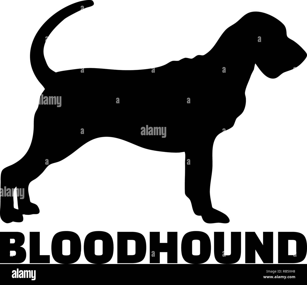 Bloodhound silhouette real with word Stock Photo - Alamy