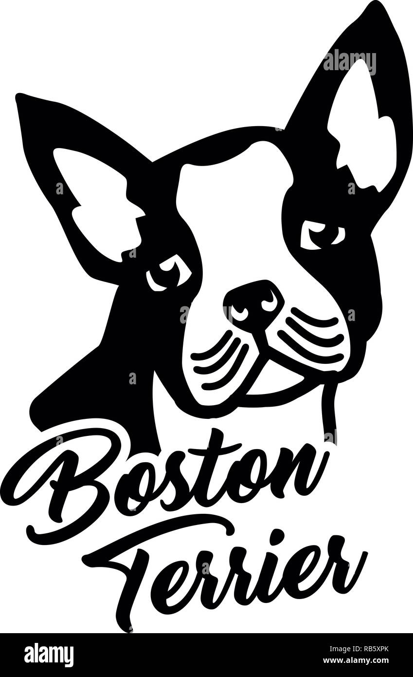 Boston terrier head silhouette with hand-written word Stock Photo - Alamy