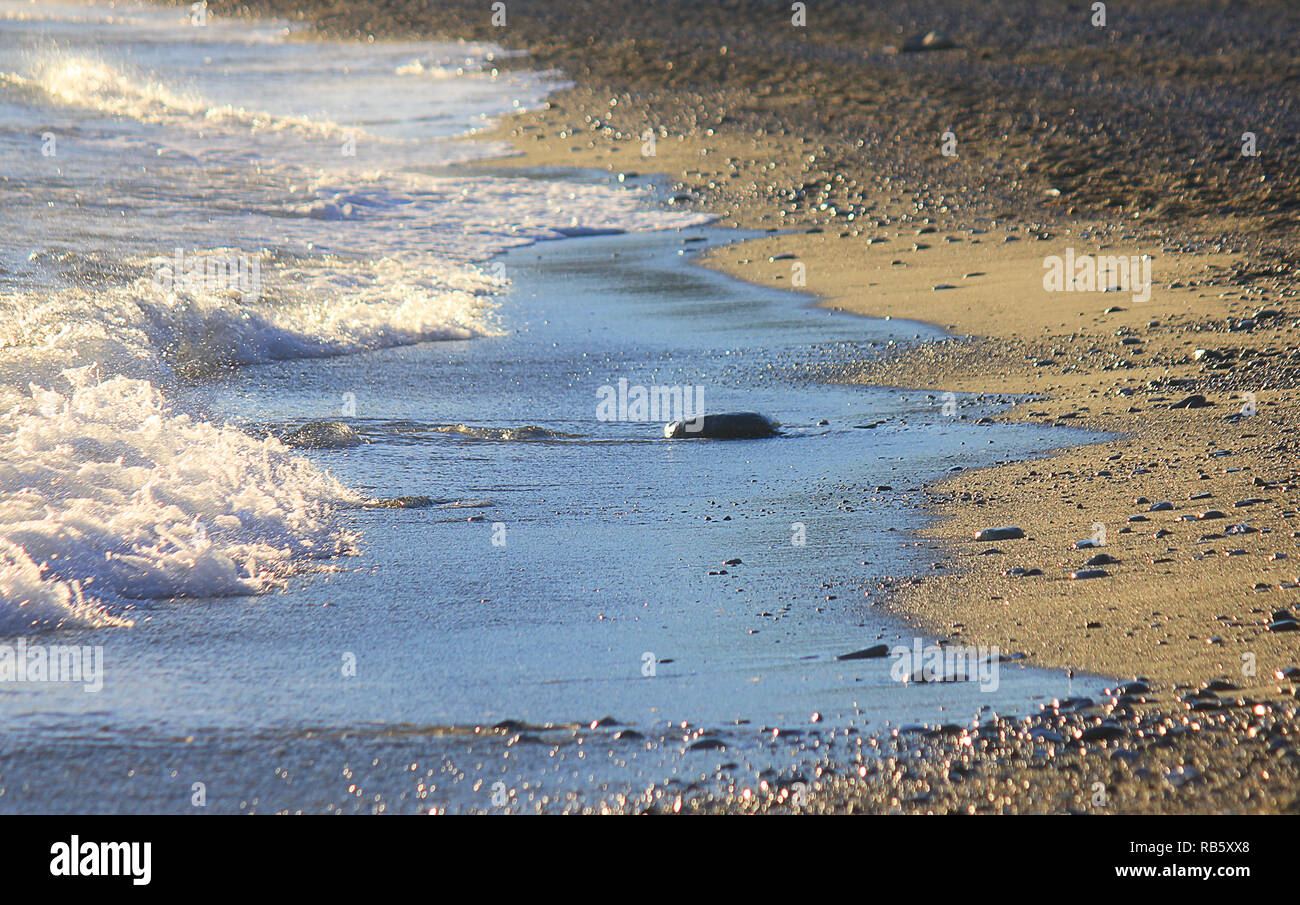 Close up of a beach hi-res stock photography and images - Alamy