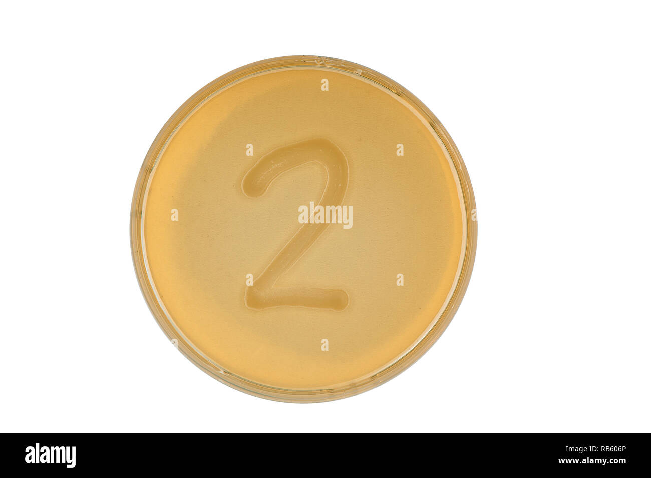 Alphabet made of bacteria escherichia coli culture on LB agar plate ...