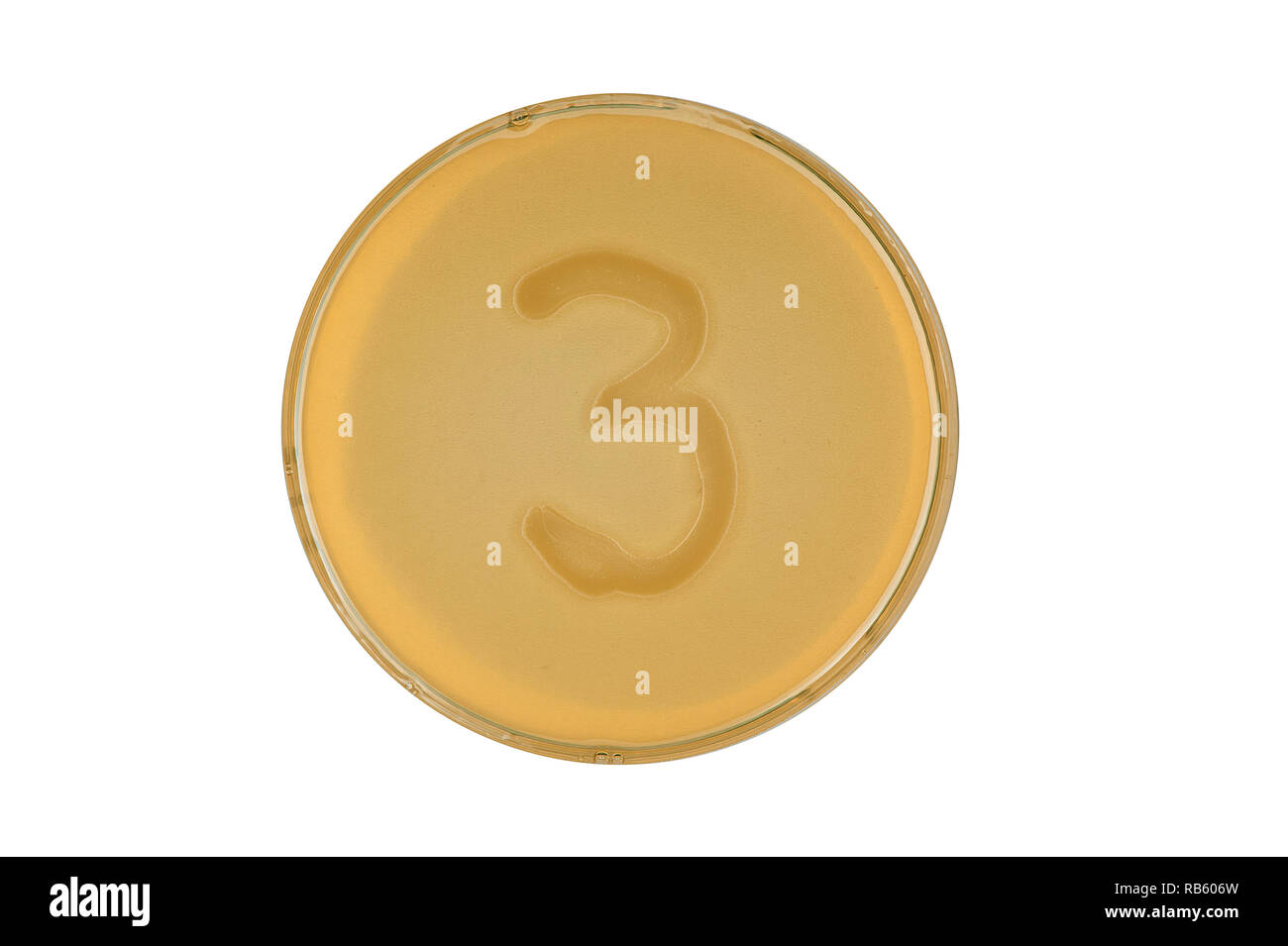 Alphabet made of bacteria escherichia coli culture on LB agar plate ...