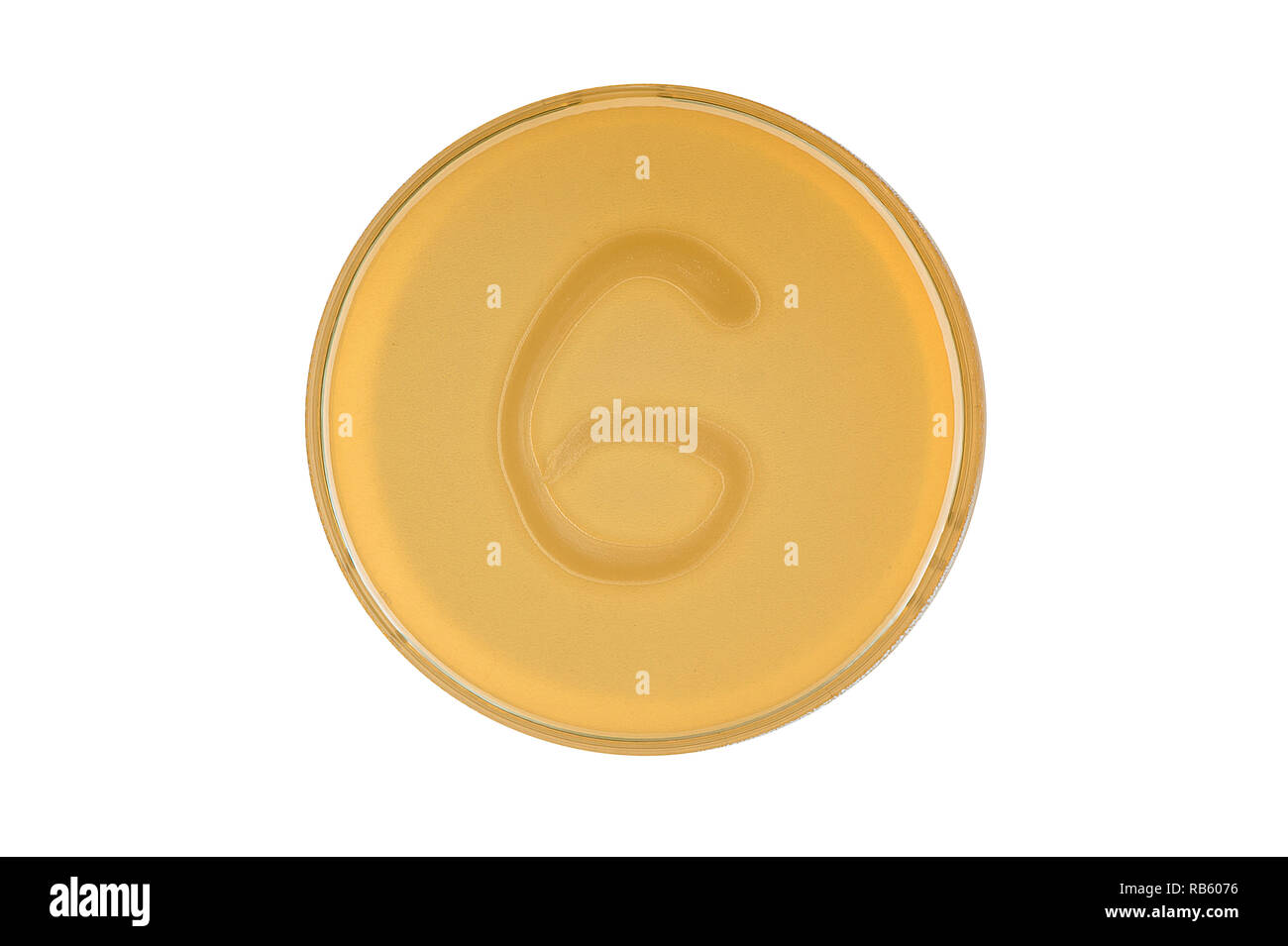 Alphabet made of bacteria escherichia coli culture on LB agar plate ...