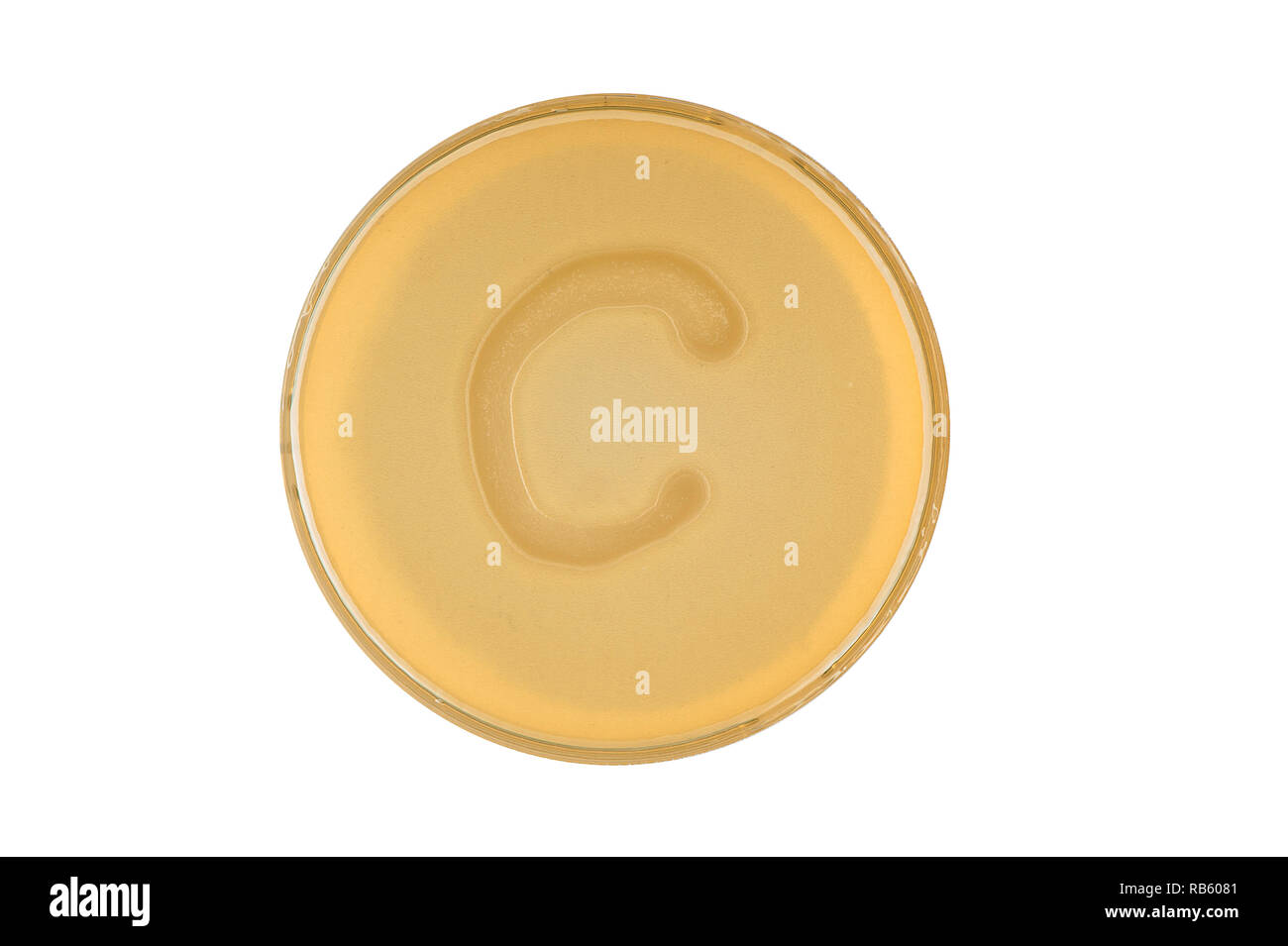 Alphabet made of bacteria escherichia coli culture on LB agar plate ...